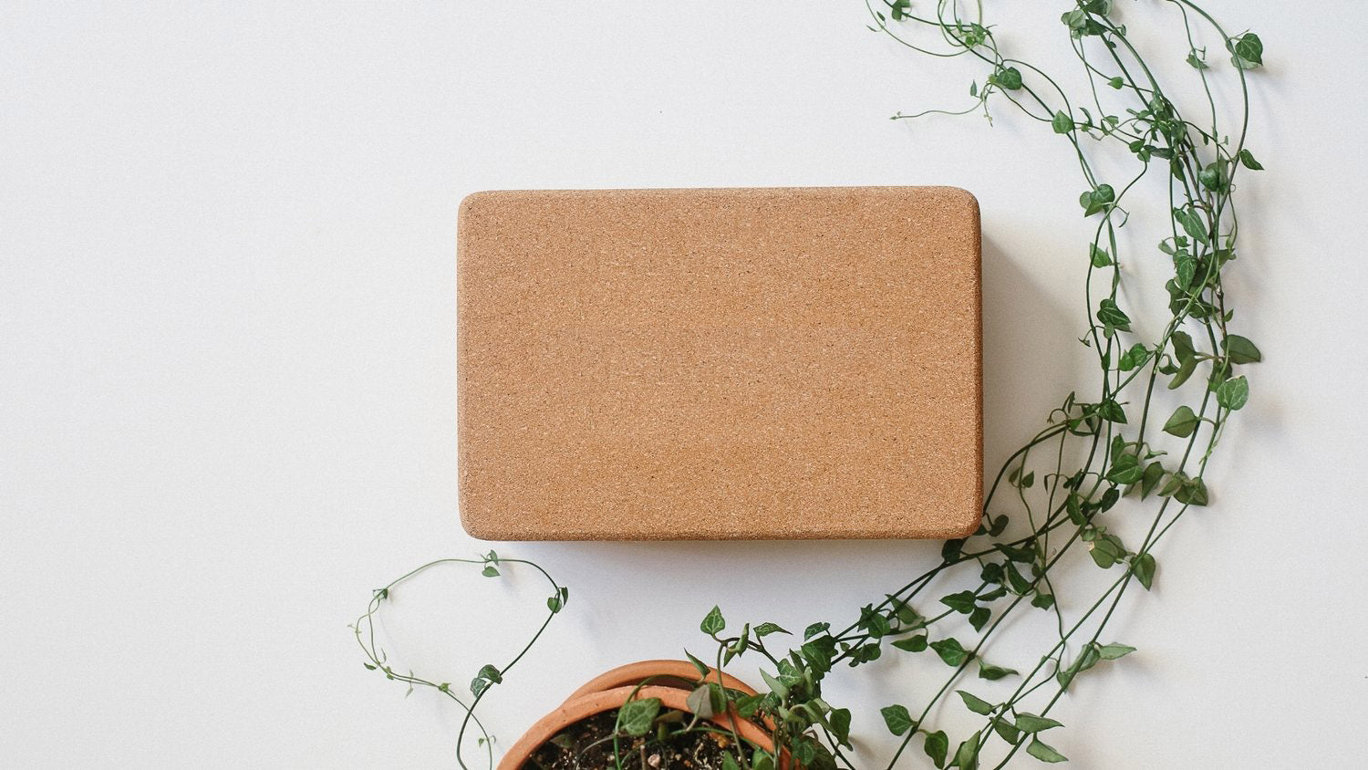 Introducing The Cork Yoga Block - Valka Yoga NZ